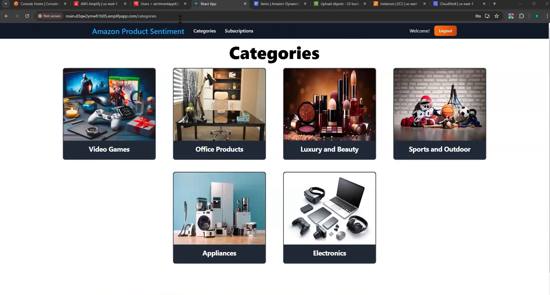 Sentiment Analysis Application